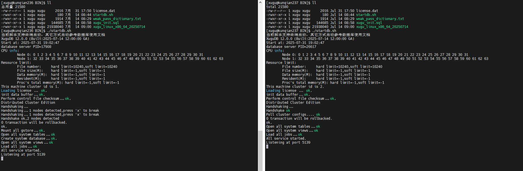 部署 XuguDB 企业版 | 虚谷文档
